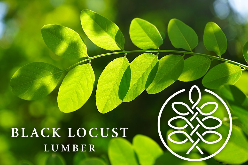 Black Locust Lumber (USA) Logo Design. Artamax Budapest: Professional ...